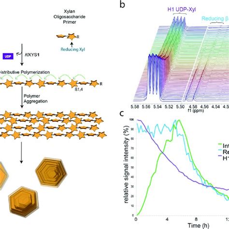 Enzymatic Synthesis Of Xylan Microparticles Using A Recombinant Xylan