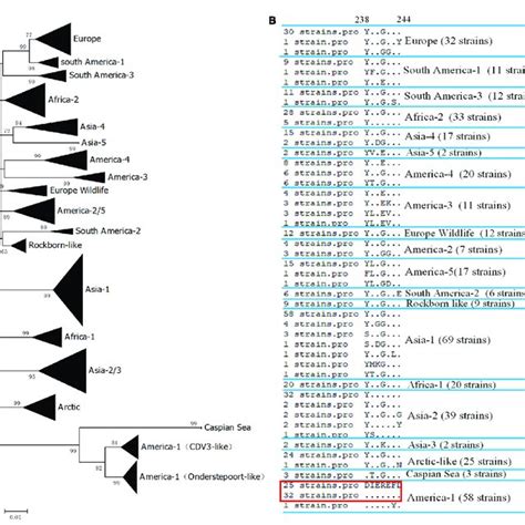 Conservative Analysis Of Antigen Epitope A Phylogenetic Download Scientific Diagram
