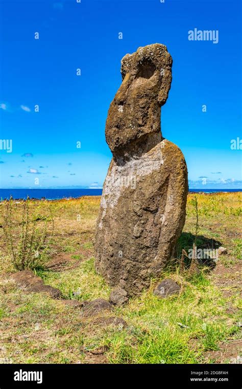 Property For Sale On Easter Island At Clinton Richardson Blog