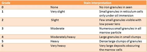 Perls Stain For Hemosiderin Histopathology Guru