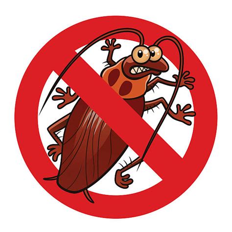 Cockroach Illustrations Royalty Free Vector Graphics And Clip Art Istock