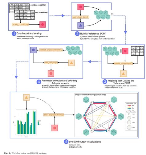 Simplify Complex Biological Data Analysis With Evolsom This Powerful R Iscb International
