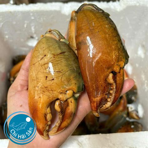 Chihaisan đang Có Càng Cua Chưa Bóc Vỏ