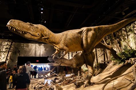 Top 10 Dinosaur Museums To Get Your Fossil Fix Destination Tips