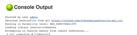 Generic Jenkins File Sybren Boland It