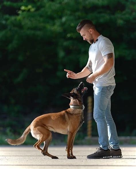 Michael Rogosin On Instagram ☑️ Outtakes Online Coaching 🗣️ We Are