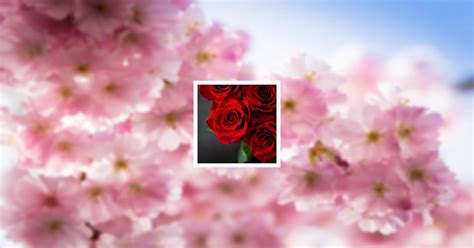 Obituary Lessie Diane Smith Sconiers Funeral Home