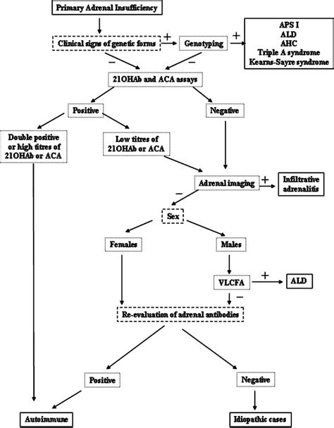 Flowchart For The Classification Of Primary Adrenal Insufficiency Aps