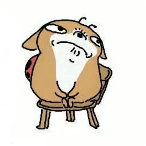 吉娃娃版我的精神状态表情包 吉娃娃表情包相关表情包表情包专辑 求表情网斗图从此不求人