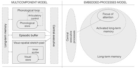 Comparison Of The Multicomponent And Embedded Processes Models Of Download Scientific Diagram