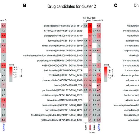 Computational Drug Repositioning For The Coexpressed Genes The Download Scientific Diagram