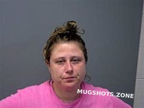 Stephanie Michelle Gibbs 08062024 Baxter County Mugshots Zone