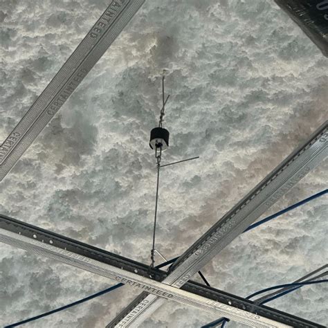 Rsic Whi® Sound Isolation Clips Second Skin Audio