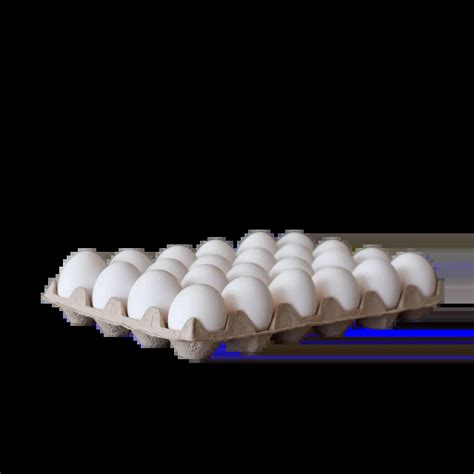 Huevos De Campo Activate