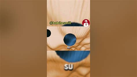 Elsubconsiente Youtube