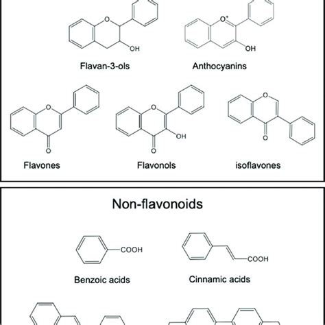 Core Structures Of The Main Classes Of Plant Phenolic Compounds Download Scientific Diagram