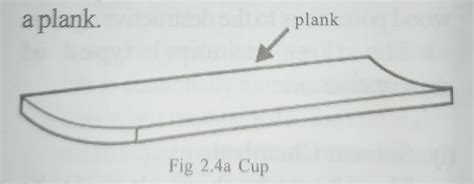 Common Timber Defects Austin Tommy