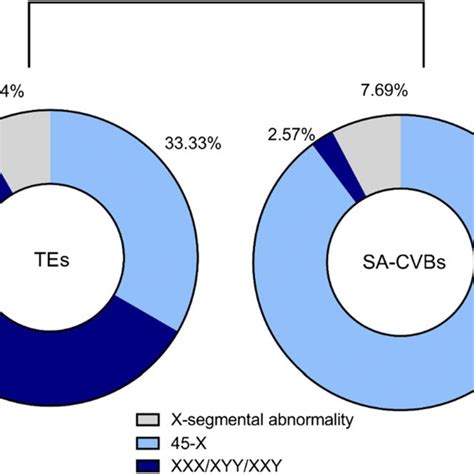 Sex Chromosome Abnormalities In Trophectoderm Biopsies From Blastocysts Download Scientific