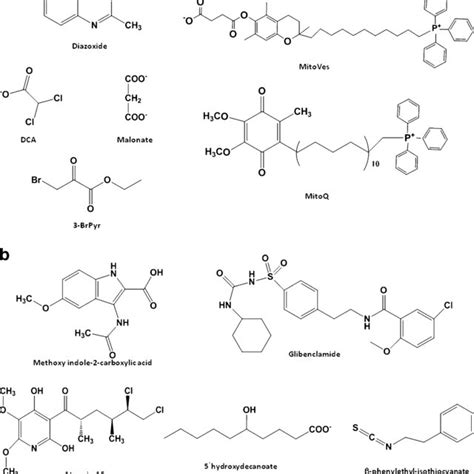 Chemical Structures Of Several Sdhcomplex Ii Inhibitors And Related