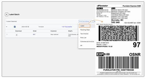 Purolator Express Vs Ground Which To Offer In Woocommerce