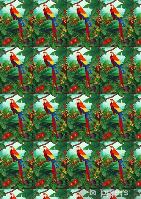 Wallpaper Detailed Macaw Bird Vector Pixersuk