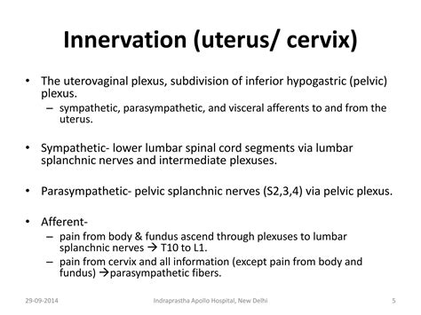 Anatomy For Anaesthesia Nerve Supply Of Uterus And Cervix Pptx