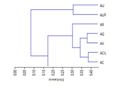 Dendrogram Figure 5 Pca Scatter Plot Download Scientific Diagram