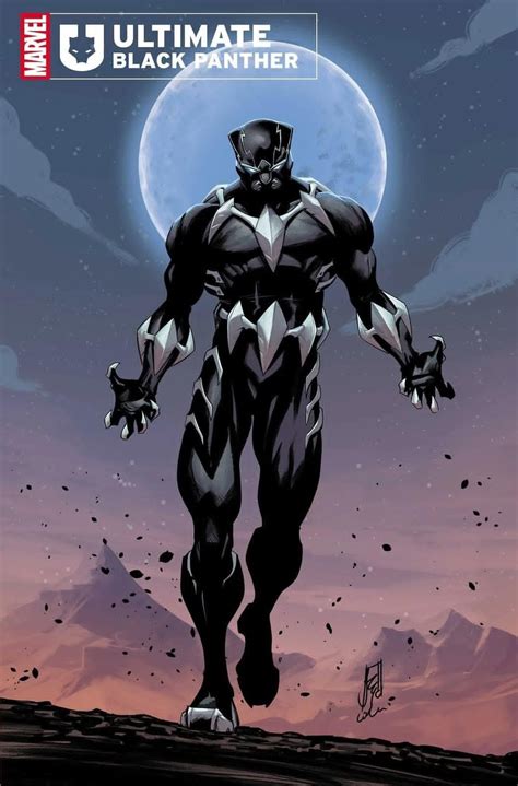 Pin By Loki On Black Panther In 2025 Black Panther Marvel Black