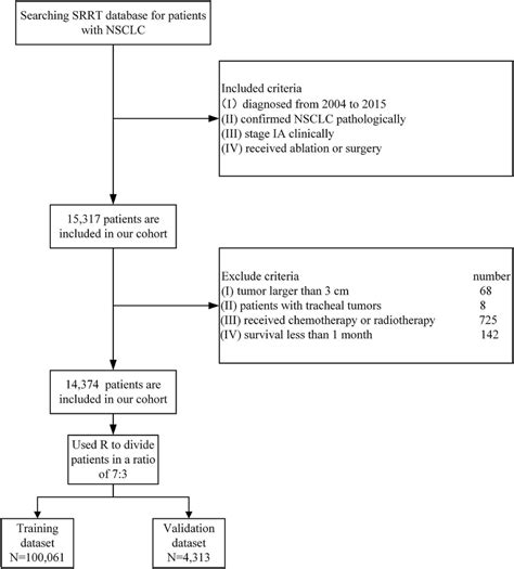 Flow Chart Illustrating The Steps To Extract The Case Of Nsclc From