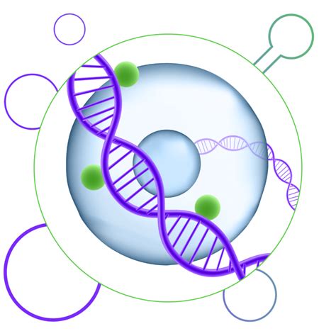 single cell dna methylation challenge scale biosciences