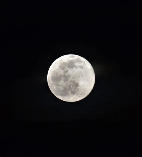 Come Essere Un Buon Antenato è Il Pensiero Che Può Salvare Il Pianeta Lifegate