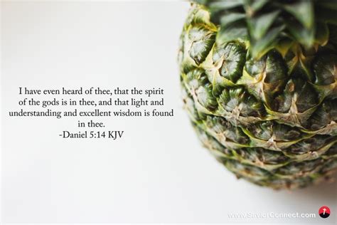 Daniel 5 14 Kjv