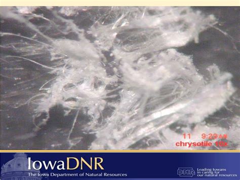 Ppt Asbestos Neshap Powerpoint Presentation Free Download Id5330488