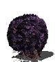 Musgo Morado Wiki Dark Souls Fandom