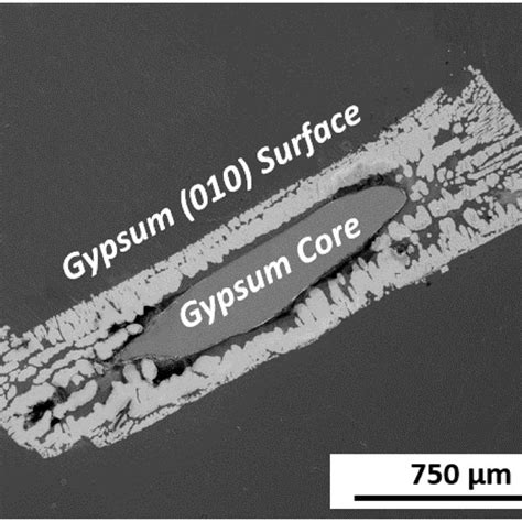 A X Ray Diffraction Patterns Of Gypsum Crystals After Different Times
