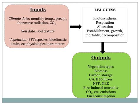 Ppt Modeling Vegetation Dynamics With Lpj Guess Powerpoint Presentation Id 2456720