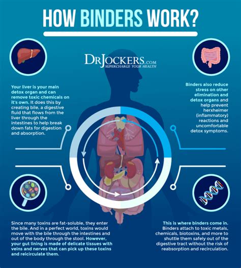 How To Use Toxin Binders To Cleanse The Body