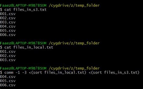bash scripting for automated aws s3 downloads