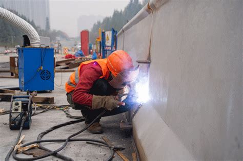 贯通倒计时！植物园西侧市政桥梁加速建设