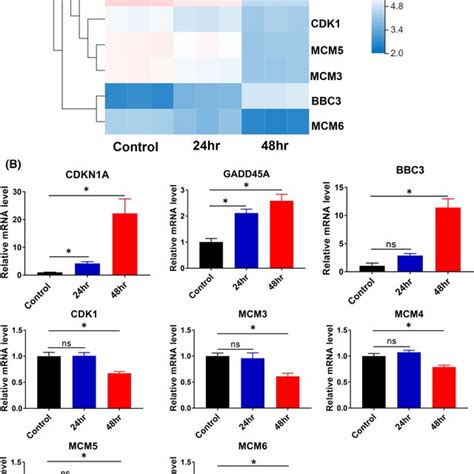 Rna‐seq Identified The Effect Of Lj‐2‐66 On The Transcriptome A