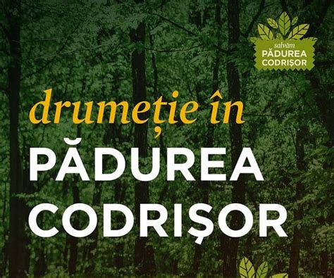 O Nouă Drumeţie în Pădurea Codrişor Timponlinero