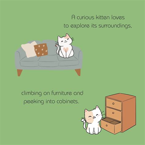 A Curious Kitten Written By Nat Bro Nuggets Of Wisdom