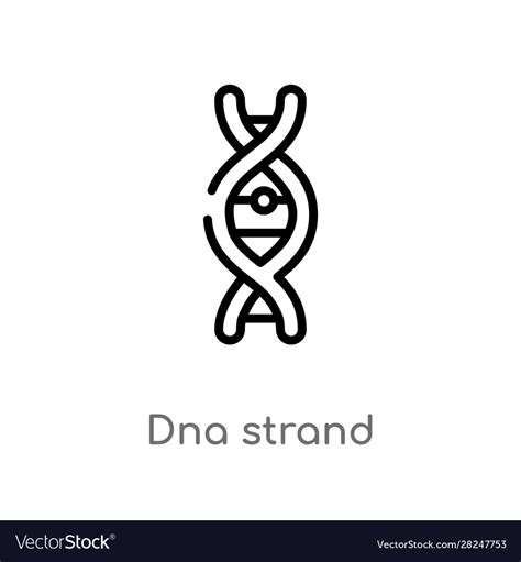 Strand Vector Icoon Dna Strand Icon On White Background Simple