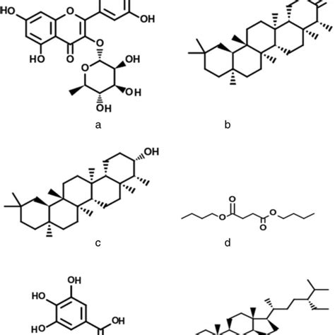 A Myricitrin B Friedelin C Epifriedelanol D Dibutyl Succinate E Download Scientific Diagram