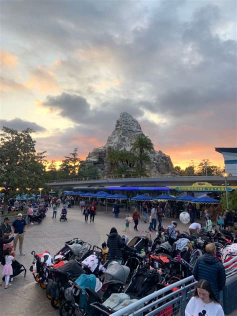 Disney At Sunset Artofit