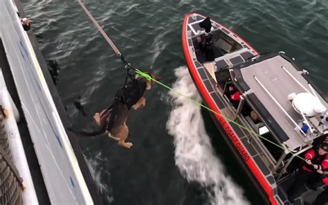 Madison Schaffer Madisonschaffe6 Twitter