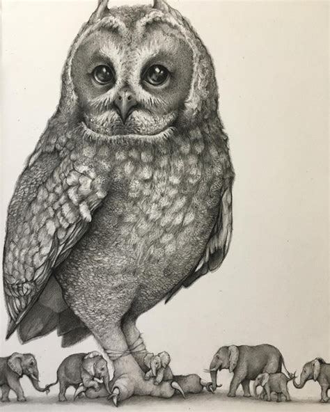 Funny Pencil Drawings Unleashing Creativity With Humorous Sketches