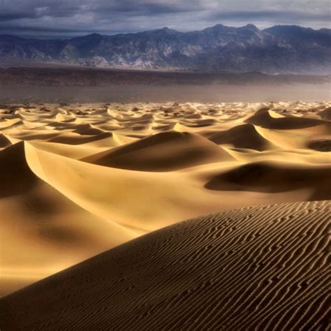 Stream Aileen Wesson Music Listen To Songs Albums Playlists For