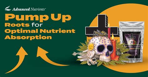 Advanced Nutrients Us Llc On Linkedin Advanced Nutrients Voodoo Juice