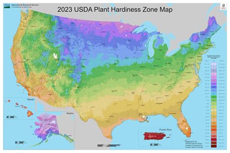 Usda Plant Hardiness Zones Map 2024 Eran Randene